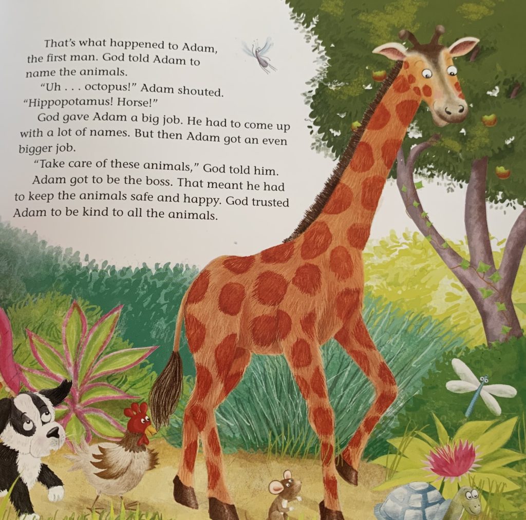 Review: My Bible Animals Storybook by Dandi Daley Mackall - From the Couch